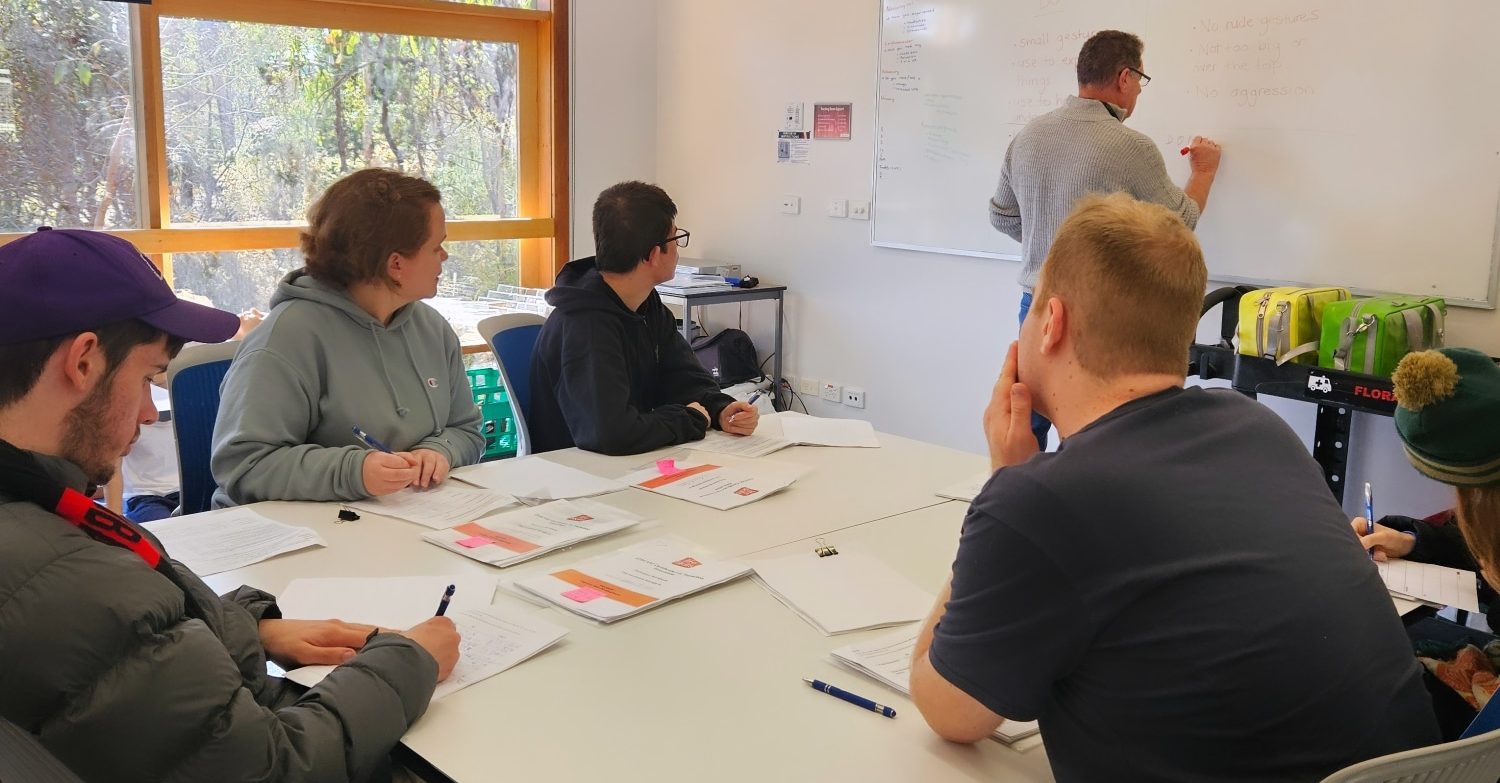 School Leavers Employment Supports (SLES)